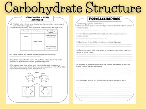 Carbohydrate Structure Disaccharides And Polysaccharides