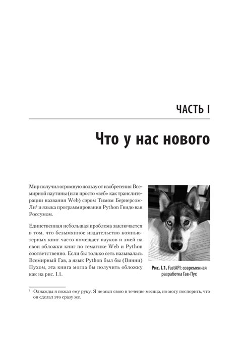 Fastapi веб разработка на Python