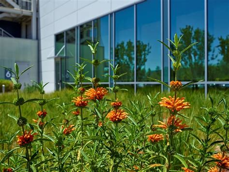 全力奔赴循环经济 共同探索可持续发展之道 快科技 科技改变未来