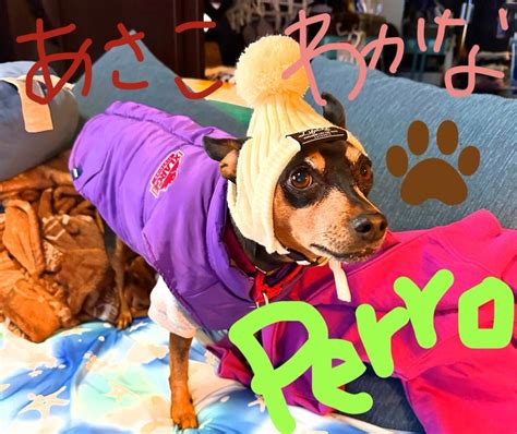 第66回 終了しました Perrozumbaサークルのブログ
