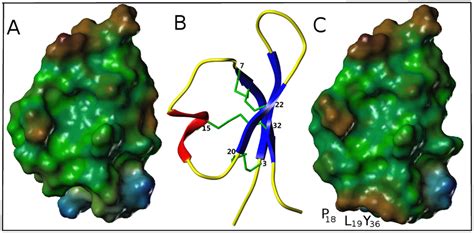 Lipophilic Potentials Of The Pa1b Isoforms 1 And 3 Lipophilic Download Scientific Diagram