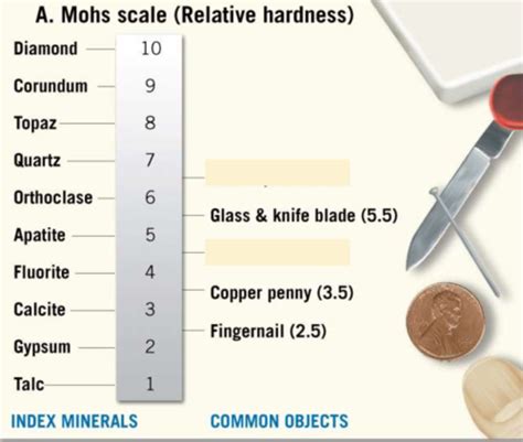 Lab Final Exam Flashcards Quizlet