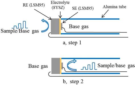 Sensors Special Issue Gas SensorsDesigns And Applications