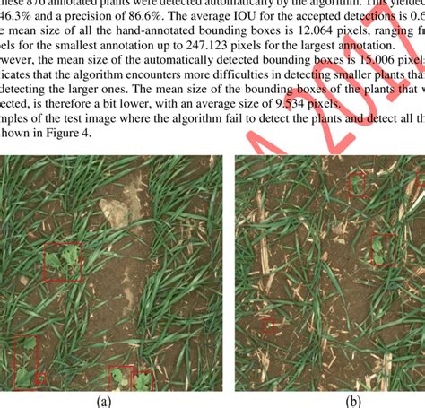 Samples From The Validation Dataset Where The Algorithm A Fails To