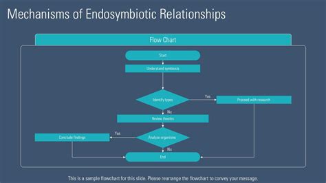 Endosymbiotic Theory Homologous Structures PPT Guidelines ACP PPT Template