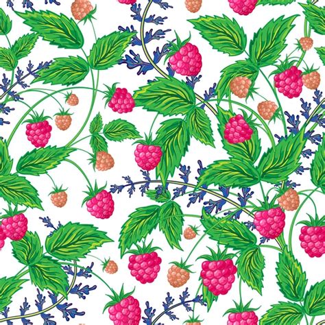 Seamless Raspberry Pattern Cute Hand Drawing Raspberry Background Vector Illustration For