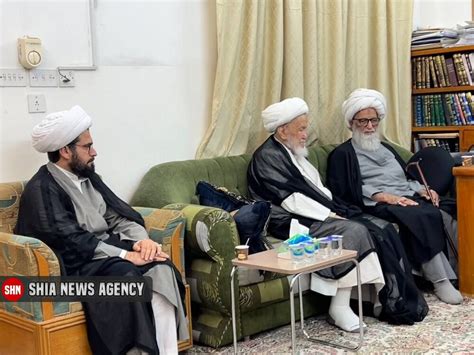 آیت الله بشیر نجفی با آیات عظام سیستانی و فیاض دیدار کردند تصاویر