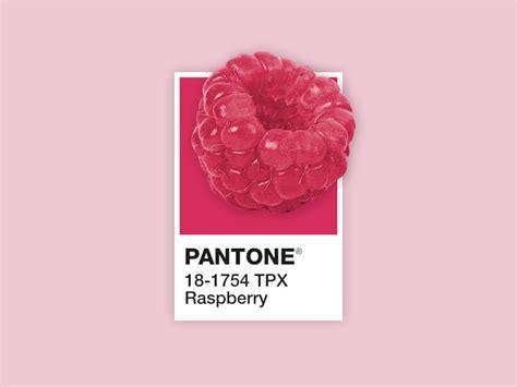 Raspberry Color Pantone Raspberry Color Pantone