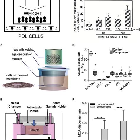 Cell Compression In Bulk Platforms A Uniform Compression Method Via