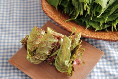 깻잎시소 요리 깻잎시소 샐러드