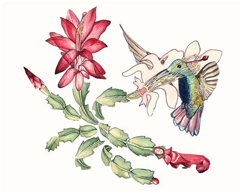 Plant Sex On Behance
