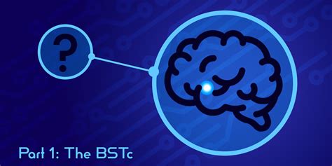 Issues With The Trans Brain Sex Hypothesis Part 1 The Bstc — Paradox
