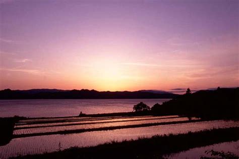 片山研究室