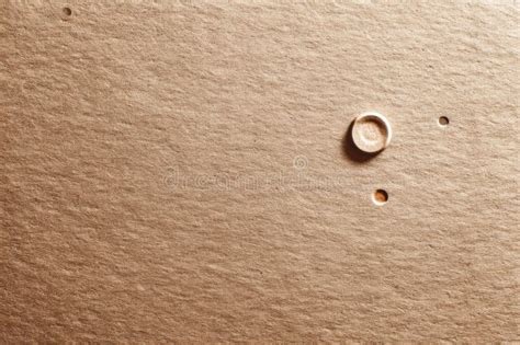 Tiny Egg Stamp Impression On Smooth Monochrome Cardboard Backdrop Creates Subtle Yet Intriguing