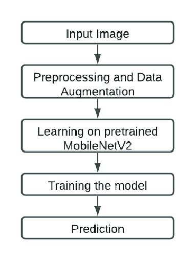 Phases Of Mask Detection Module Download Scientific Diagram
