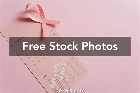 Scheduling And Administrative Support Photos Download The Best Free