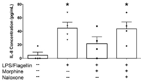 Morphine Attenuates Apical Il 8 Secretion In Ipec J2 Monolayers Exposed