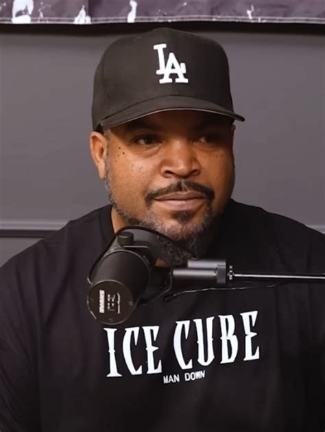 Ice Cube Wikipedia