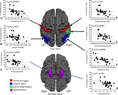Associations Between White Matter Microstructural Integrity And Download Scientific Diagram