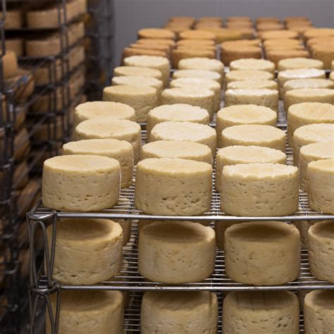 Batch Traceability 360 Update Quality Control