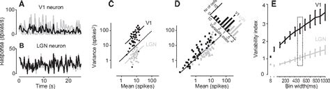 Figure 1 From Cortical State Determines Global Variability And Correlations In Visual Cortex