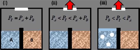 Behavior Of Liquid Propellant In A Bipropellant Gas Liquid Equilibrium