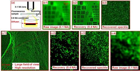 Wide Field High Resolution Fluorescence Imaging Using The Reported Download Scientific Diagram