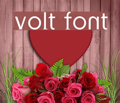 Volt Font