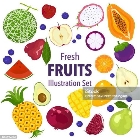 흰색 배경 원 모양에 있는 다양한 종류의 신선한 과일과 채소 아이콘의 벡터 그림 세트 배에 대한 스톡 벡터 아트 및 기타 이미지 배 사과 건강한 식생활 Istock