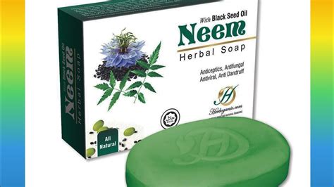 Neem Capsules For Scabies At Zara Khull Blog