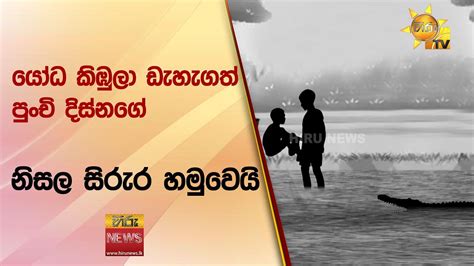 යෝධ කිඹුලා ඩැහැගත් පුංචි දිස්නගේ නිසල සිරුර හමුවෙයි Hiru News Youtube