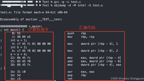 揭秘代码是如何变成机器码的编译 机器码 Csdn博客