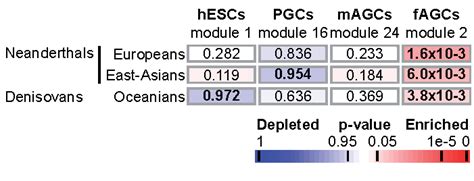 Enrichment Of Genes Expressed In Human Prenatal Germline Cells In Download Scientific Diagram