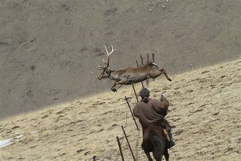 Capturing Climate Change In Qinghai Tibet Through The Eyes Of Its