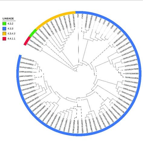 is6110 rflp patterns for mtb sit53 isolates belonging to lineage 4 8