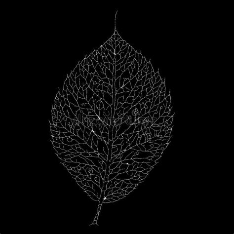 Veins Of The Void Stock Illustration Illustration Of Style 364805096