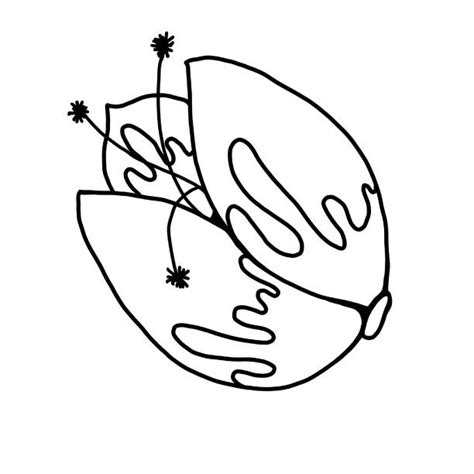 50 Shul Illustrations Royalty Free Vector Graphics And Clip Art Istock