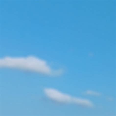 Official Assam King Youtube