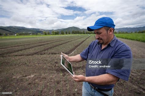 그의 수확의 성장을 모니터링 하는 태블릿 컴퓨터를 사용 하 여 농부 라틴 아메리카 히스패닉 민족에 대한 스톡 사진 및 기타 이미지 라틴 아메리카 히스패닉 민족 40