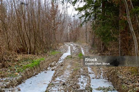 사진은 숲을 통과하는 도로입니다 도로는 부분적으로 눈과 얼음으로 덮여 있어 겨울철을 나타냅니다 길 양쪽에 있는 나무들은 잎사귀 하나 없이 벌거벗은 채 서 있다 눈은 고르지