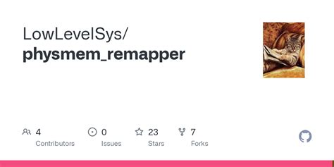 Releases LowLevelSys Physmem Remapper GitHub