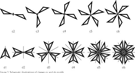 Bilateral Symmetry Art