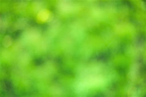 현대 에코 봄 배너 장식 기독교 카드에 대 한 배경 꿈 Bokeh 잎 화창한 날 배경 개념 덩어리 죠 신선한 바이오 녹색 텍스처입니다 봄 또는 여름에 대 한 달콤한 녹색