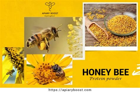 Importance Of Choosing Bee Food Supplement For The Bees By Apiaryboost Medium