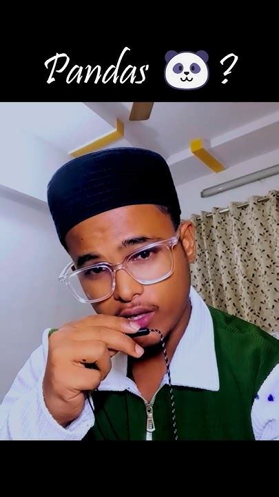 Day 13 Pandas 🐼 Shorts Youtubeshorts Funny Comedy Python Programming Youtube