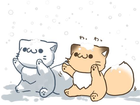 ฅ•ω•ฅこんこん きちゅね On Twitter