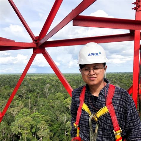 Opentowork Damar Panoto