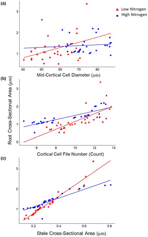 Relationship Between Nodal Anatomical Traits And Root Cross‐sectional
