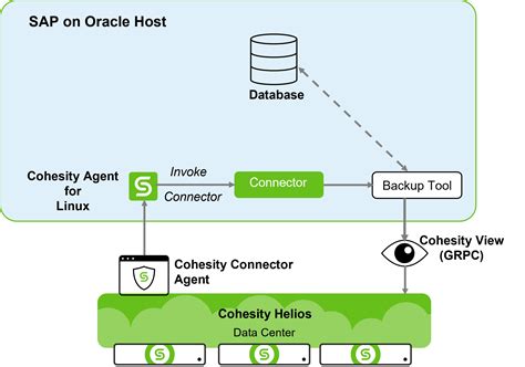 Sap On Oracle For Linux