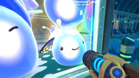 Best Largo Slime Combinations In Slime Rancher 2 Pro Game Guides